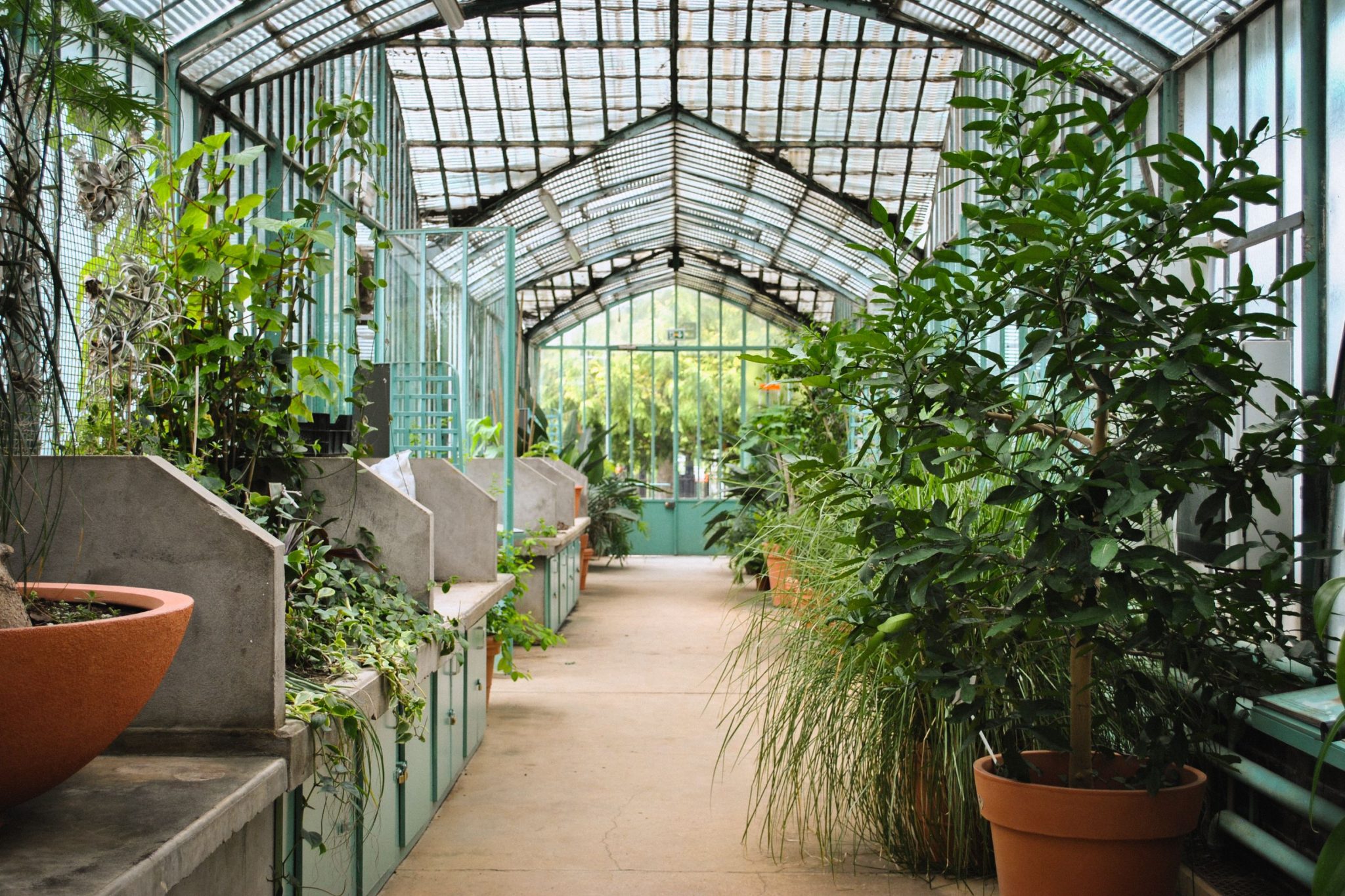 Le Jardin des Serres d'Auteuil et la Petite Ceinture du 16ème - Paris ...
